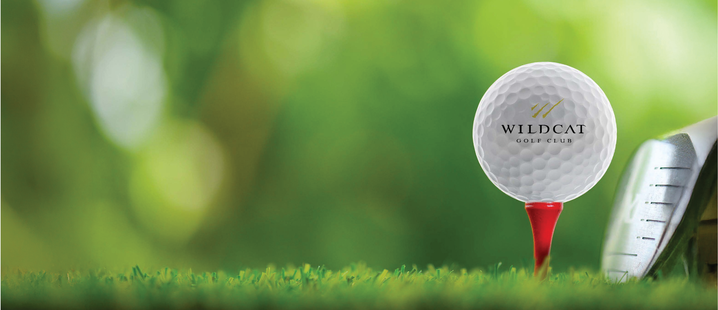 Taylor Whitley USA DeBusk Scholarship Foundation – Show Up. Give A Flip ...